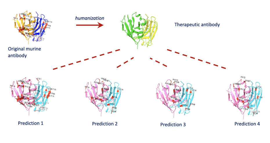 Antibody Engineering | Antibody Therapeutics | Aganitha