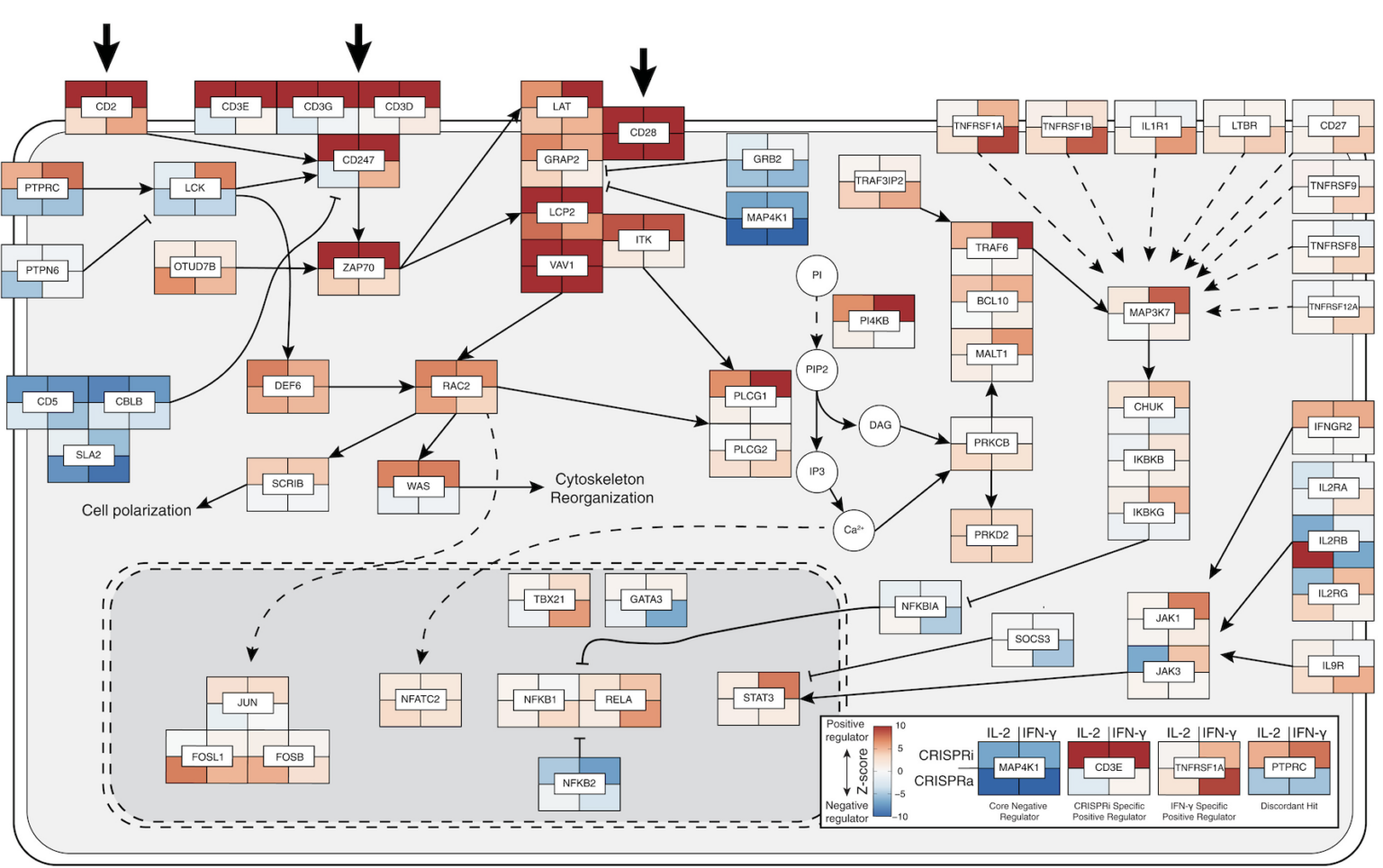 Making AI your Research Collaborator: Examples from Biopharma ...