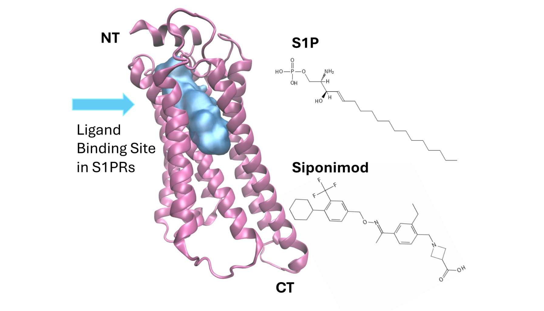 Understanding Drug Selectivity: A Computational Perspective - Aganitha ...