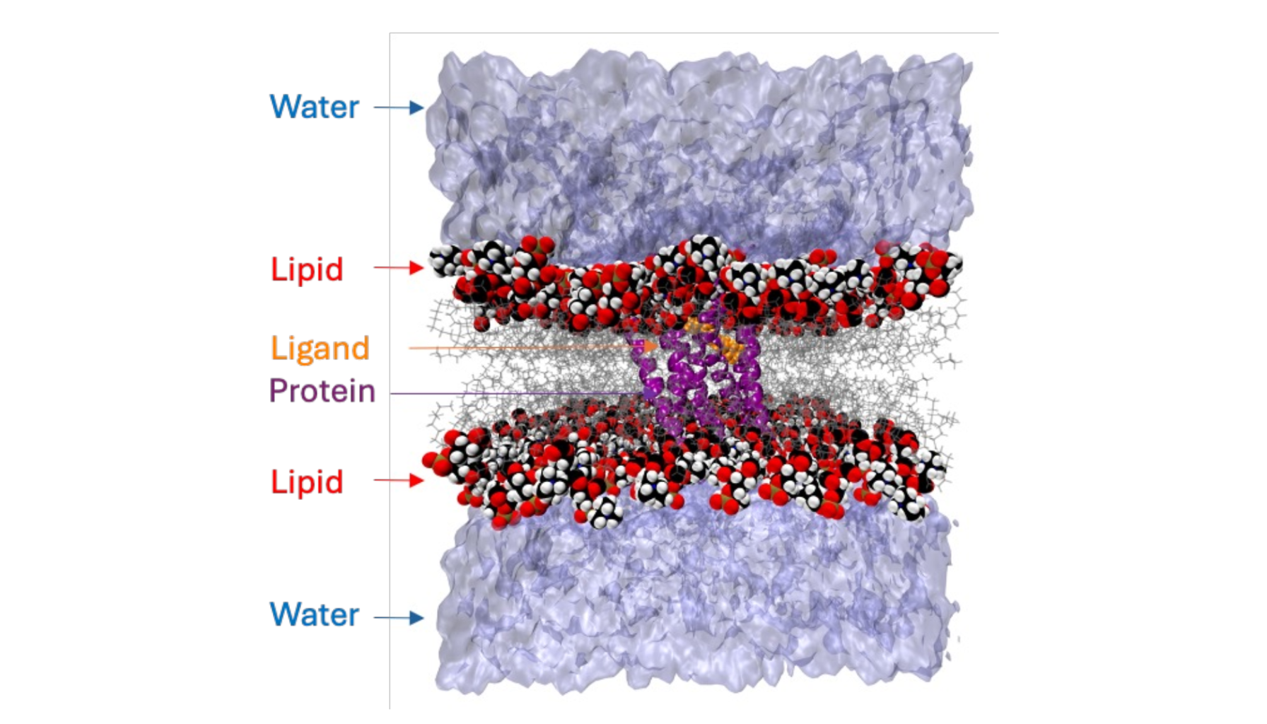 Understanding Drug Selectivity: A Computational Perspective - Aganitha ...