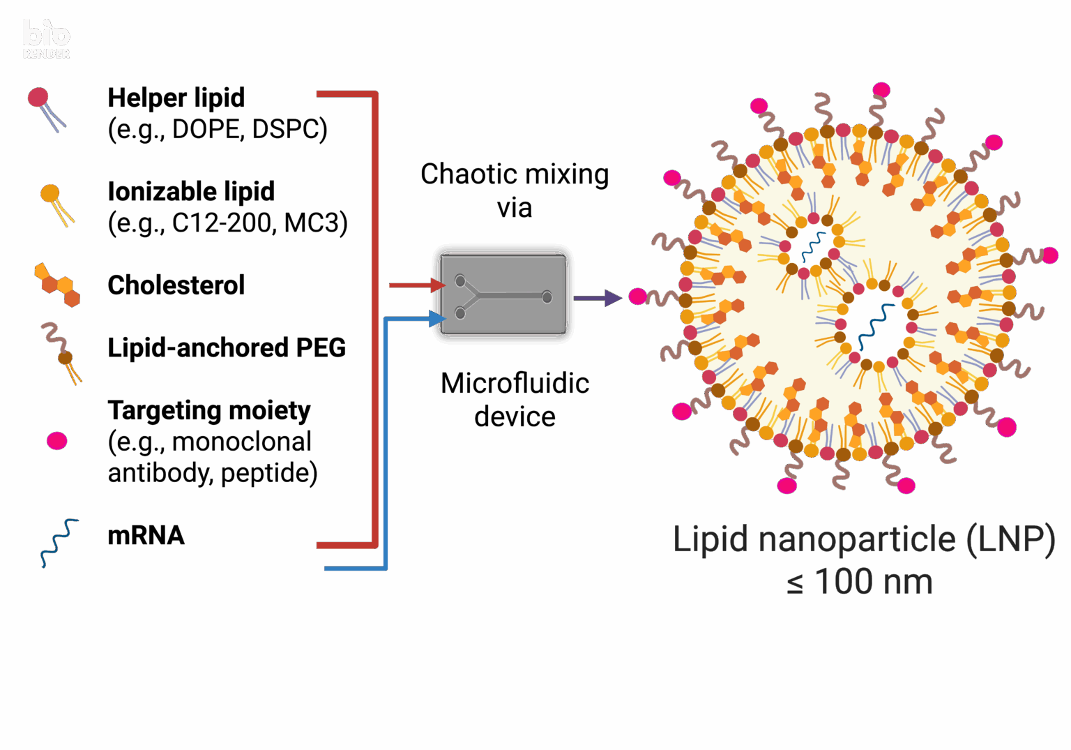 Lipid nanoparticle (LNP) engineering - Aganitha AI Inc
